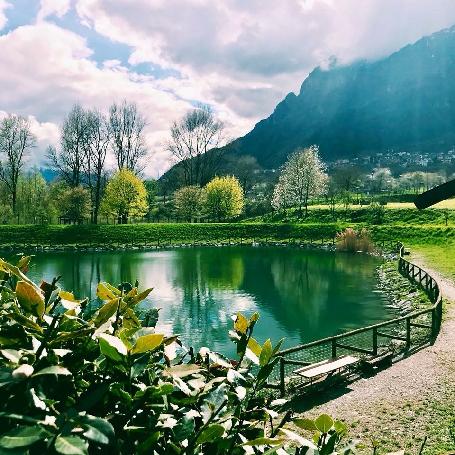 Parco Tematico Capo di Ponte Parco / Giardino / Area all'aperto