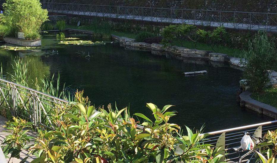 AmbienteParco - Parco Scientifico Parco / Giardino / Area all'aperto