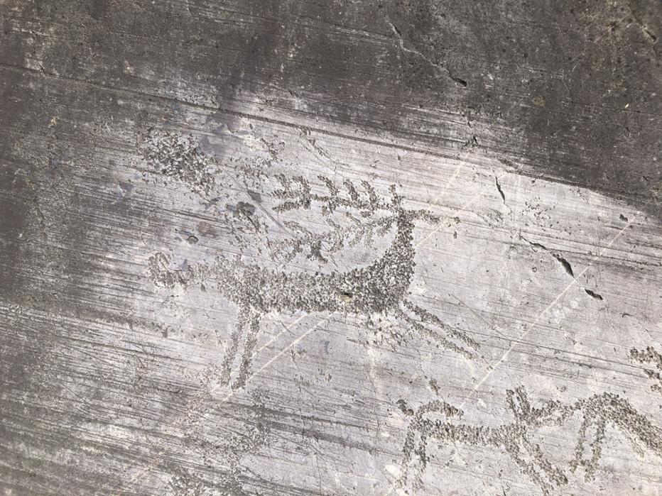 Tour guidato alle incisioni rupestri di Valle Camonica a Riserva ...