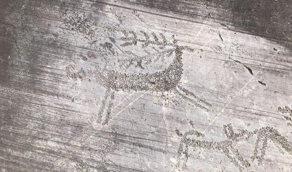 Tour guidato alle incisioni rupestri di Valle Camonica a Riserva ...