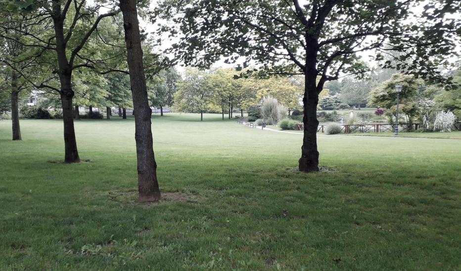 Parco Comunale Angelo e Lina Nocivelli Parco / Giardino / Area all'aperto