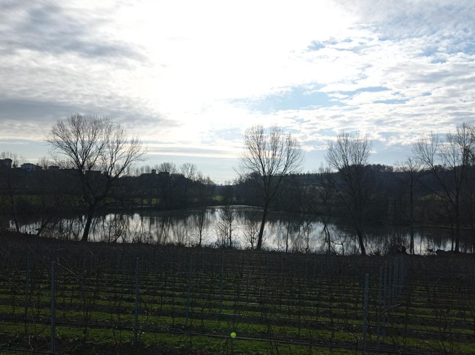 Area umida Palude Mantellina Riserva naturale / Area protetta