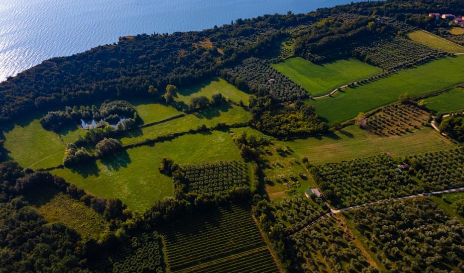 Museo civico Archeologico della Valtenesi Ecomuseo