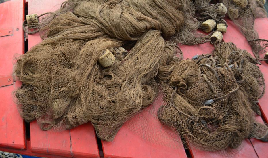 Museo della Rete Museo / Pinacoteca