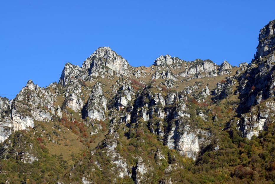 Stazione di inanellamento Passo della Berga Riserva naturale / Area ...